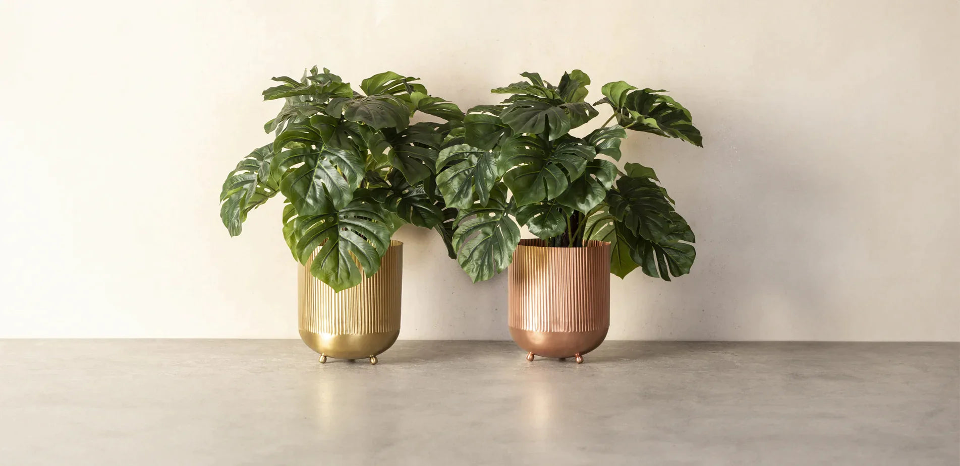 Buy Planters Online, Trendy Pots for Plants | Arcedior Shop