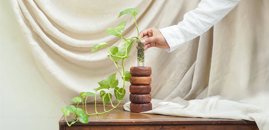 Arcedior Shop - Luxury Home Decor & Gift Items Online